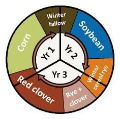 More on Extended Crop Rotations... - Practical Farmers of Iowa