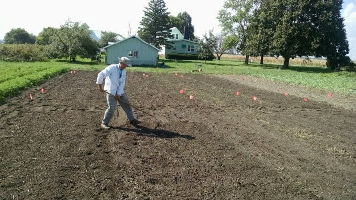 Determining a Rye Seeding Rate By Counting Seeds - Practical Farmers of ...