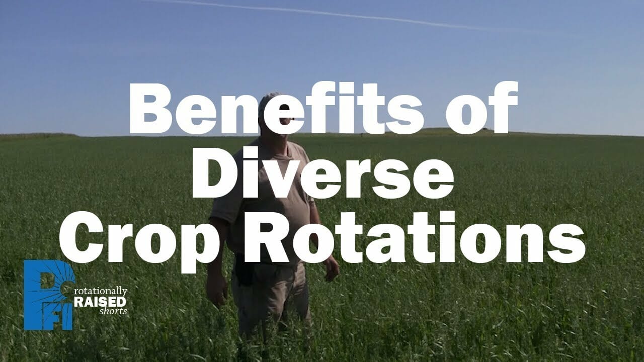 Benefits of Diverse Crop Rotations - Practical Farmers of Iowa Benefits of Diverse Crop Rotations - Practical Farmers of Iowa
