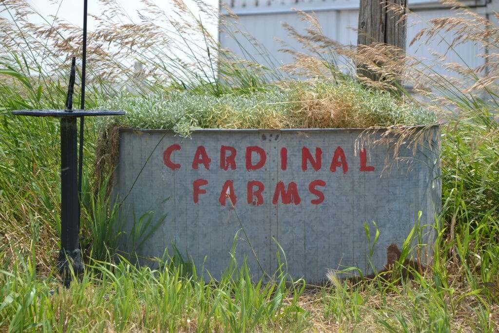 Field Day Recap: Ridge-Till, Weed Management and Oat Production ...