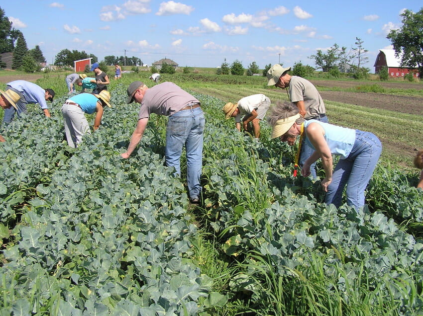 Farm Employment Resources - Practical Farmers of Iowa