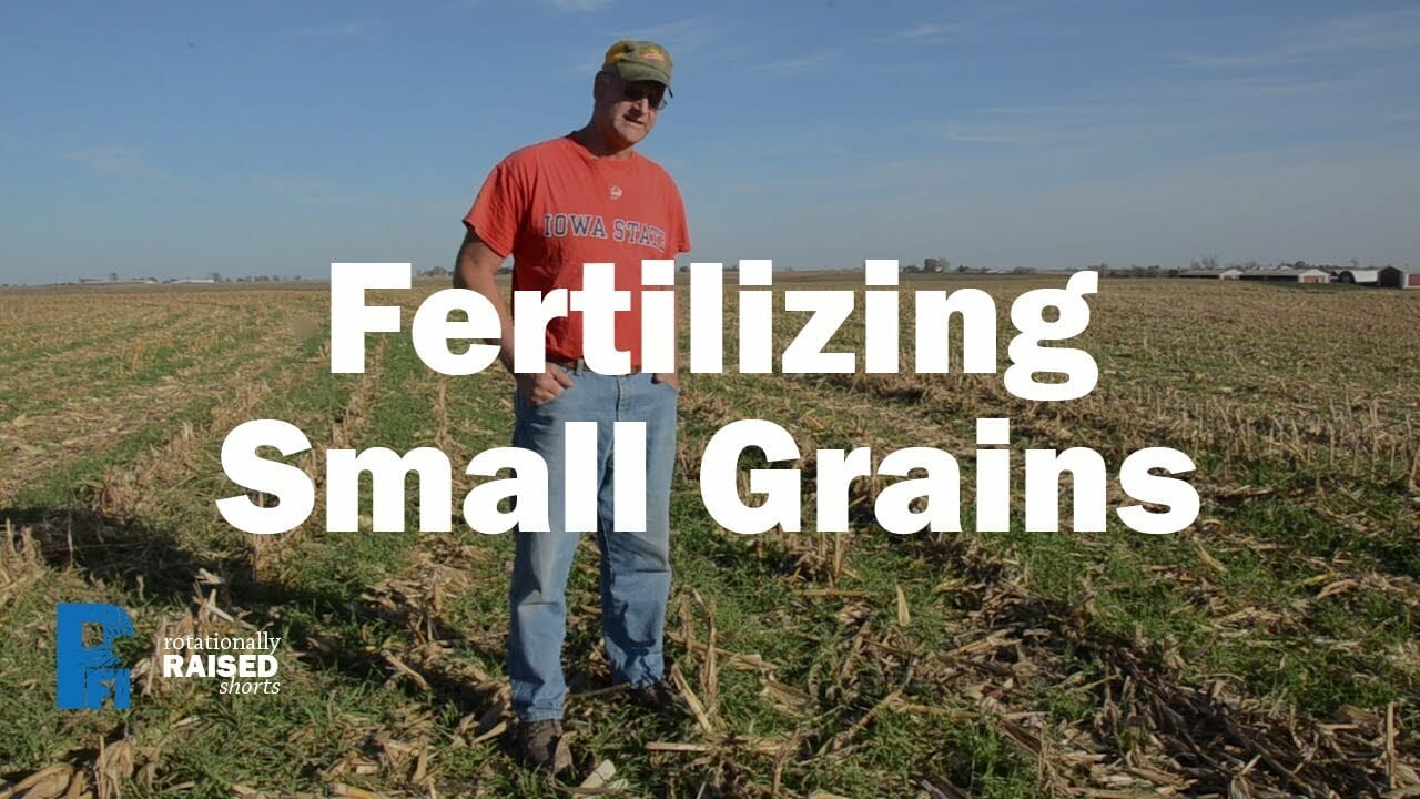 Fertilizing Small Grains - Practical Farmers of Iowa