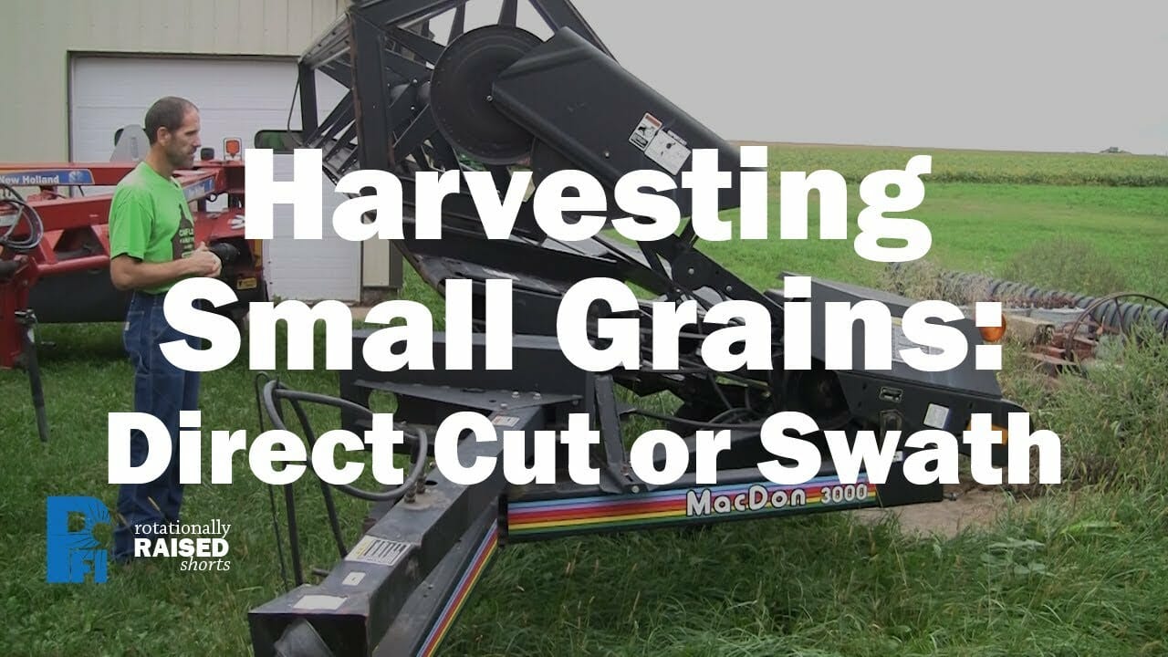 Harvesting Small Grains: Direct Cut or Swath? - Practical Farmers of Iowa