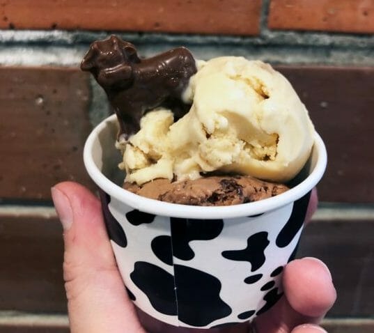 Field Day Recap: Cheese and Ice Cream Production at Kalona Creamery ...