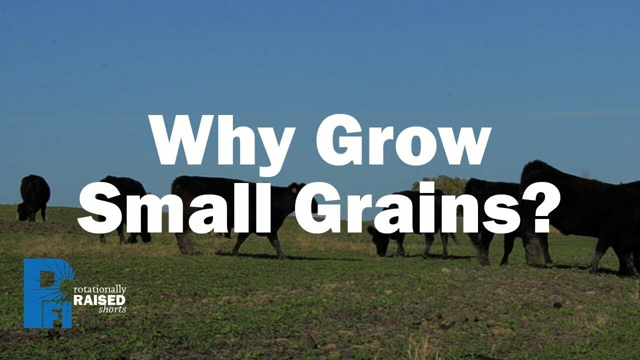Why Grow Small Grains? - Practical Farmers of Iowa