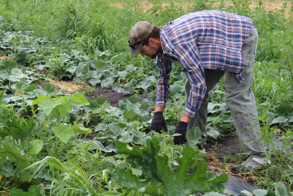Practical Farmers of Iowa announces 2019 winter farminar series ...