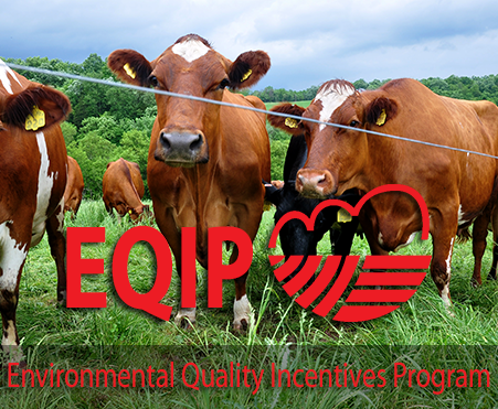 How to Apply for EQIP Funding for Small Grains Production - Practical ...