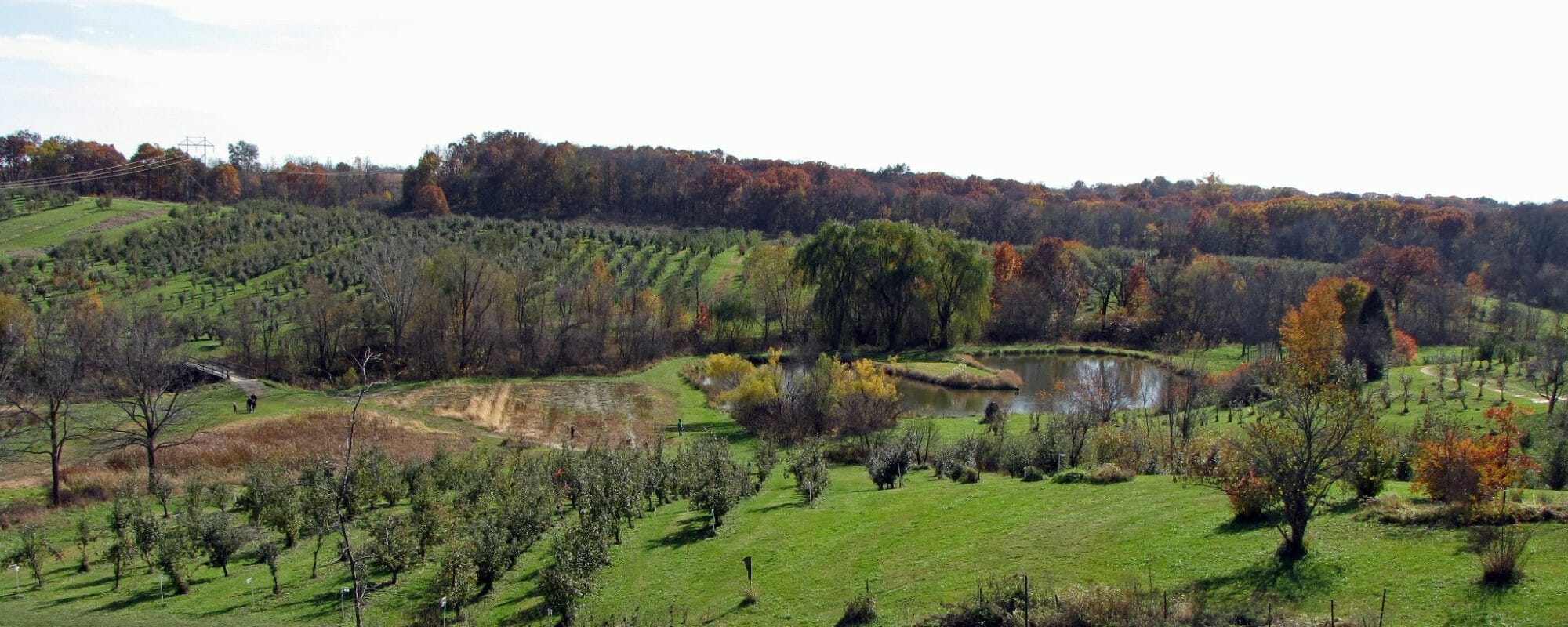 Making an Orchard Work in Iowa - Practical Farmers of Iowa