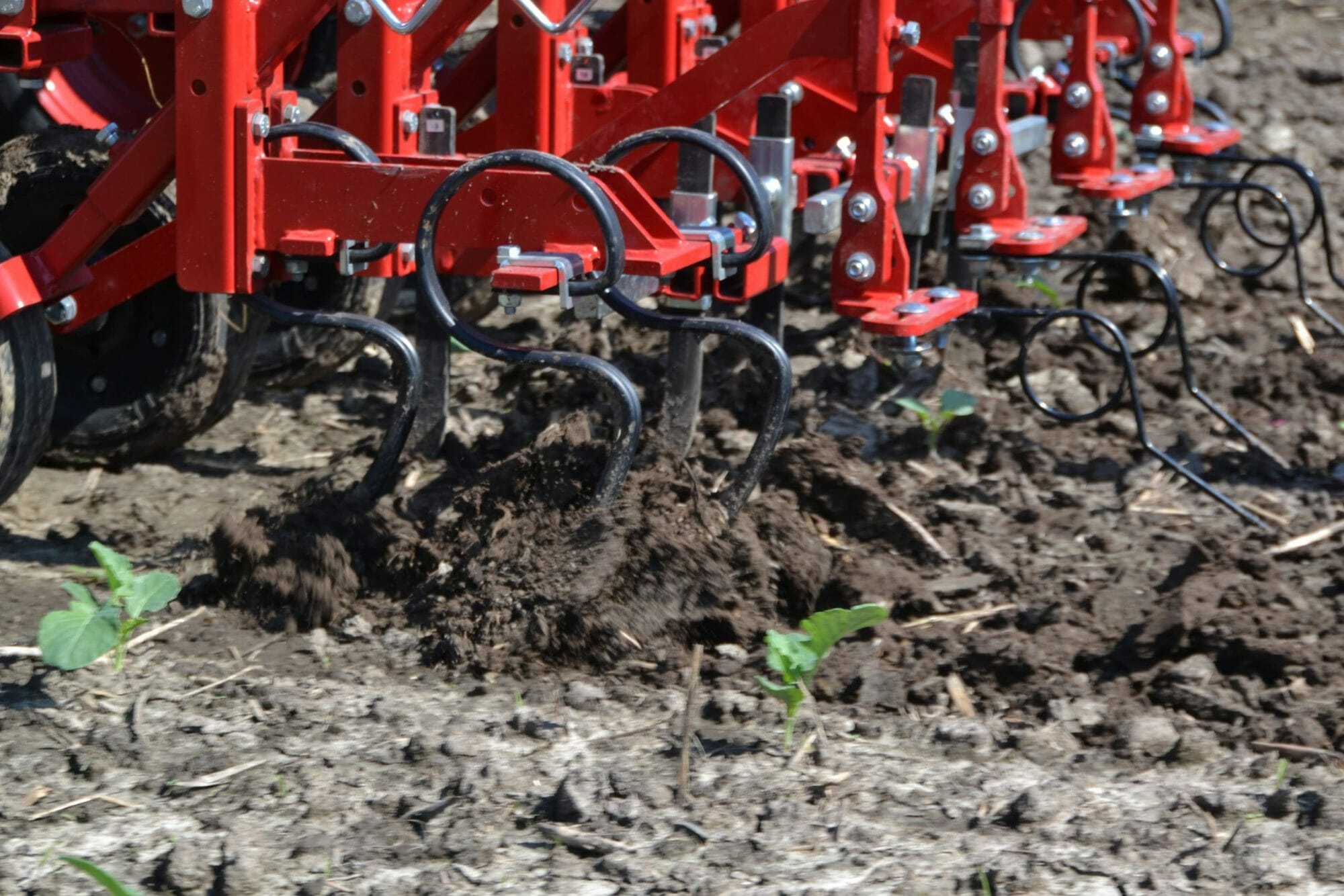 4th Annual Midwest Mechanical Weed Control Field Day - Episode 3: The ...
