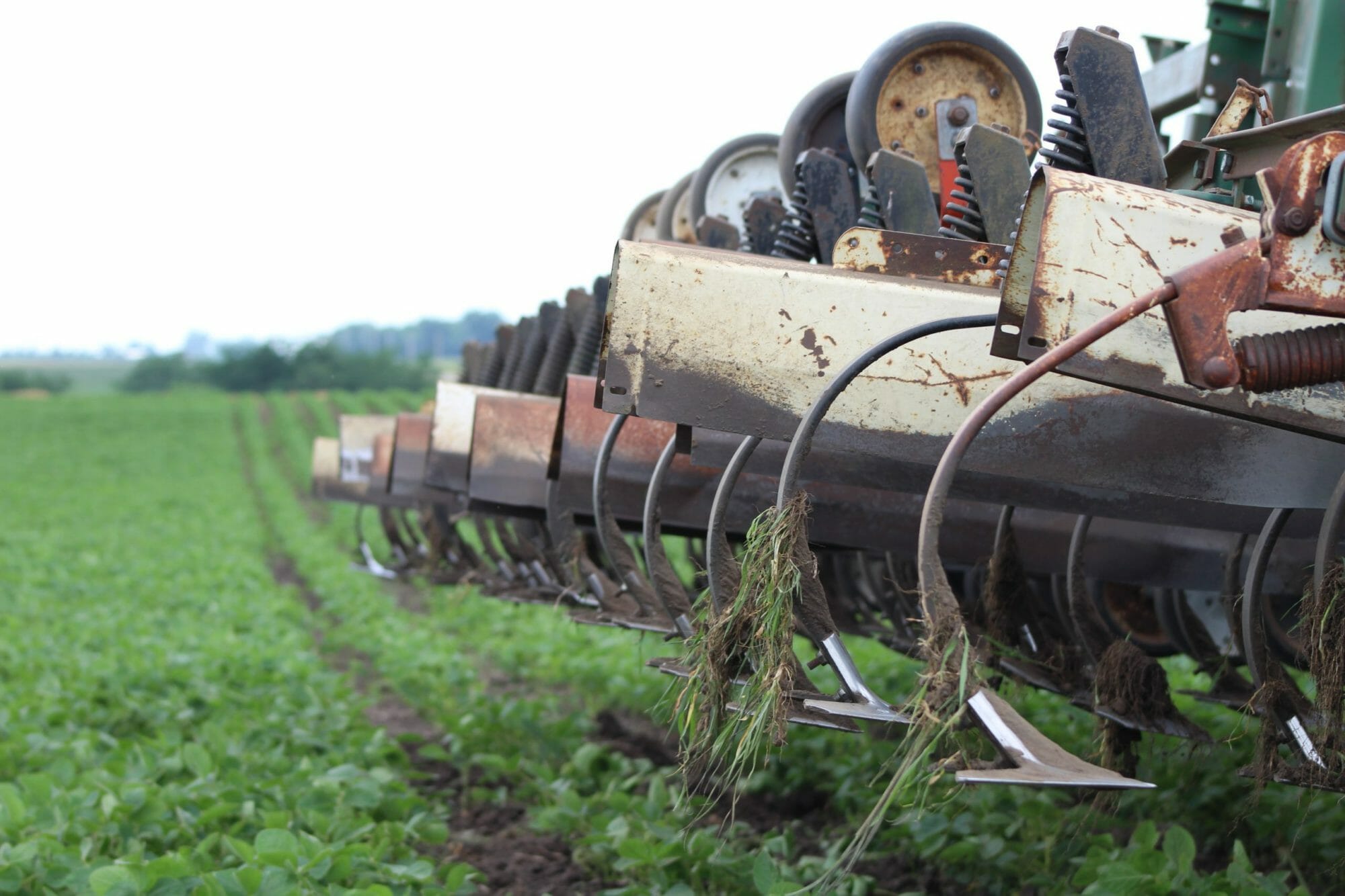 Equipment and Automation Tools for Mechanical Weed Control - Practical ...