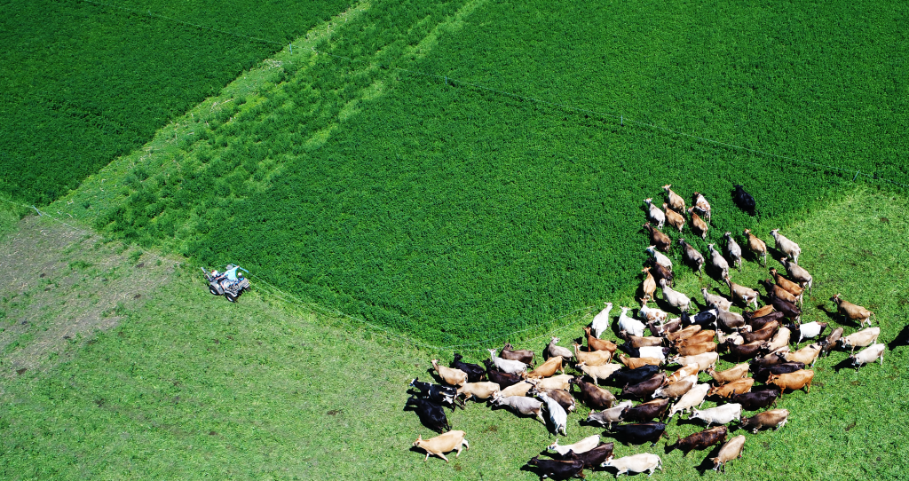 Livestock on the Land - Practical Farmers of Iowa