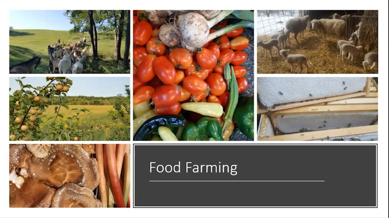 Facilitating Farm Transition With the Sustainable Iowa Land Trust ...