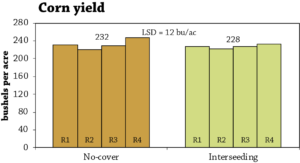 Interseeding Cover Crops to Corn in Early Summer - Practical Farmers of ...