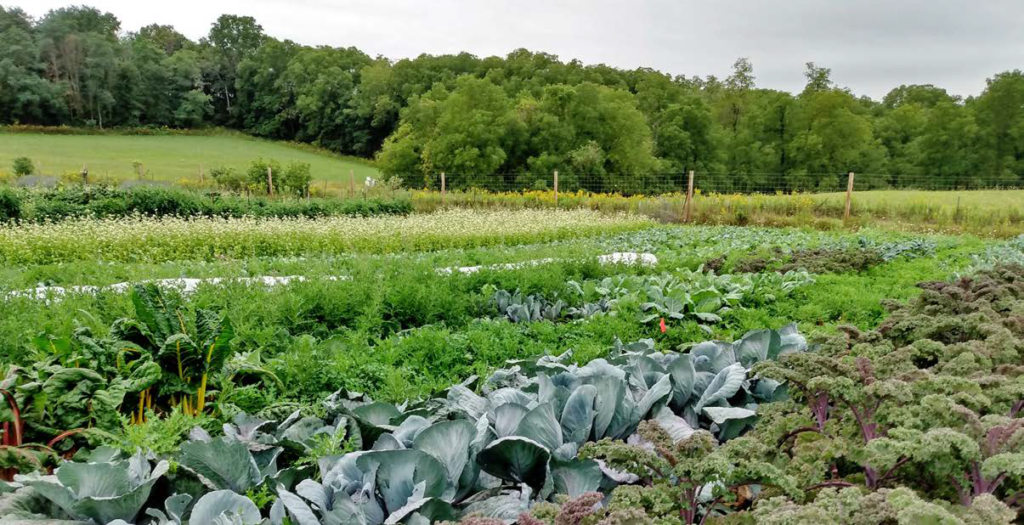 Testing the Merits of Low-Till - Practical Farmers of Iowa
