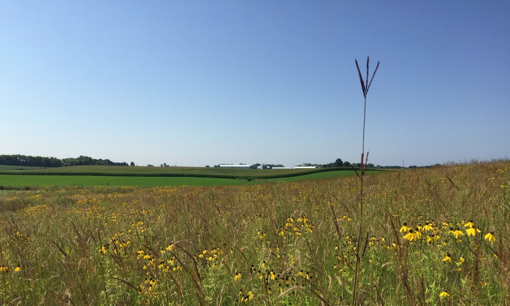 Prairie Strips and Conservation on Big Spirit Lake - Practical Farmers ...