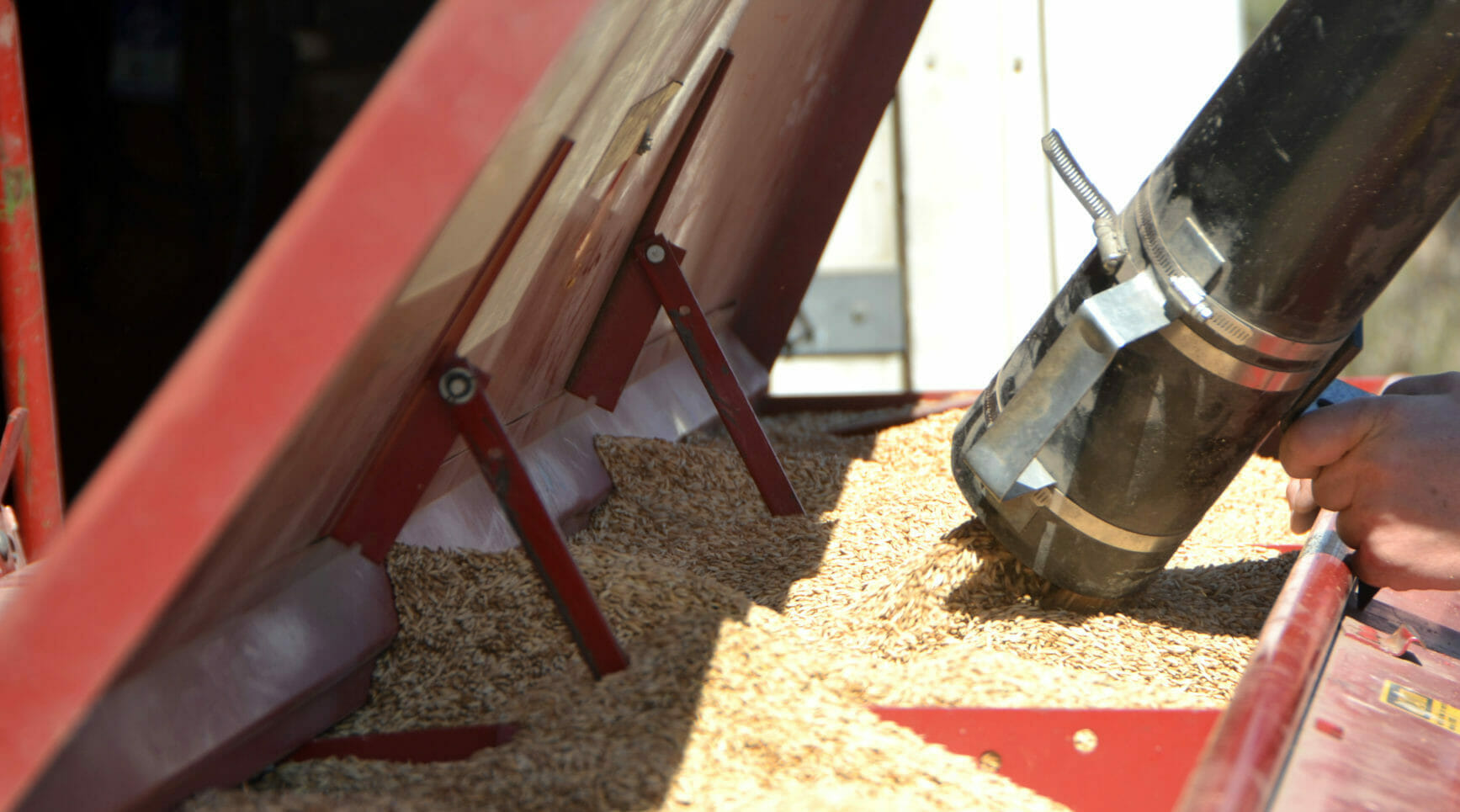 Oat Production: From Variety Selection and Seeding to Baling and ...