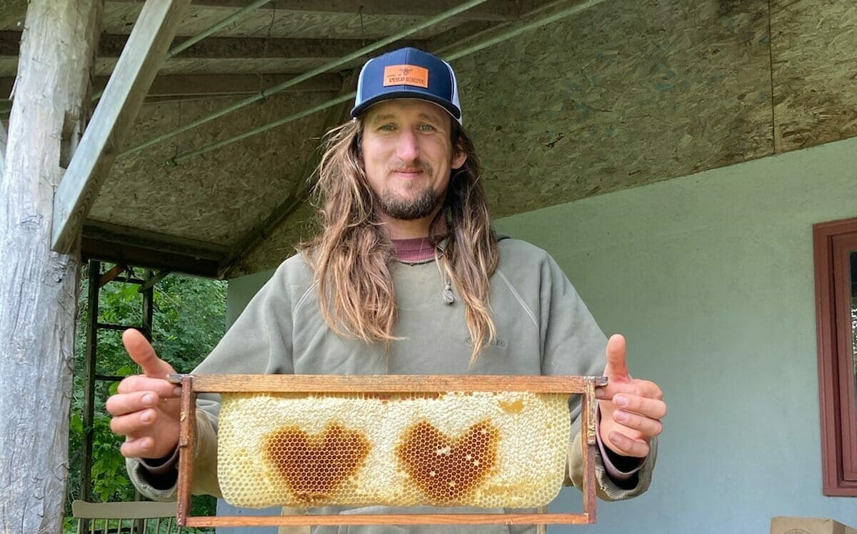 Review of: “The Forager Chef’s Book of Flora” by Minnesota Chef Alan ...