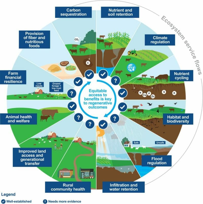 The Monthly Feedstuff - The benefits of regenerative grazing + Apply ...