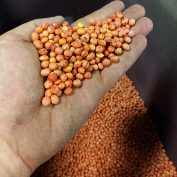 Practical News - Meet our annual conference keynote speaker + Small ...