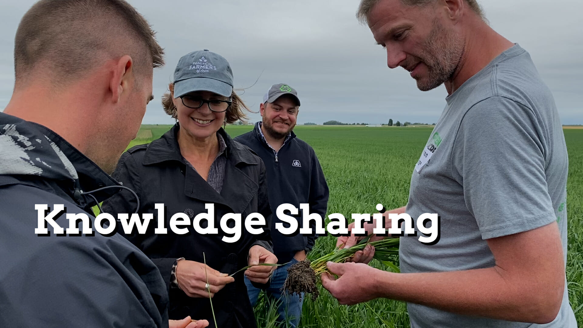 Cover Crops Spur Knowledge Exchange and Extend Farmer Networks ...