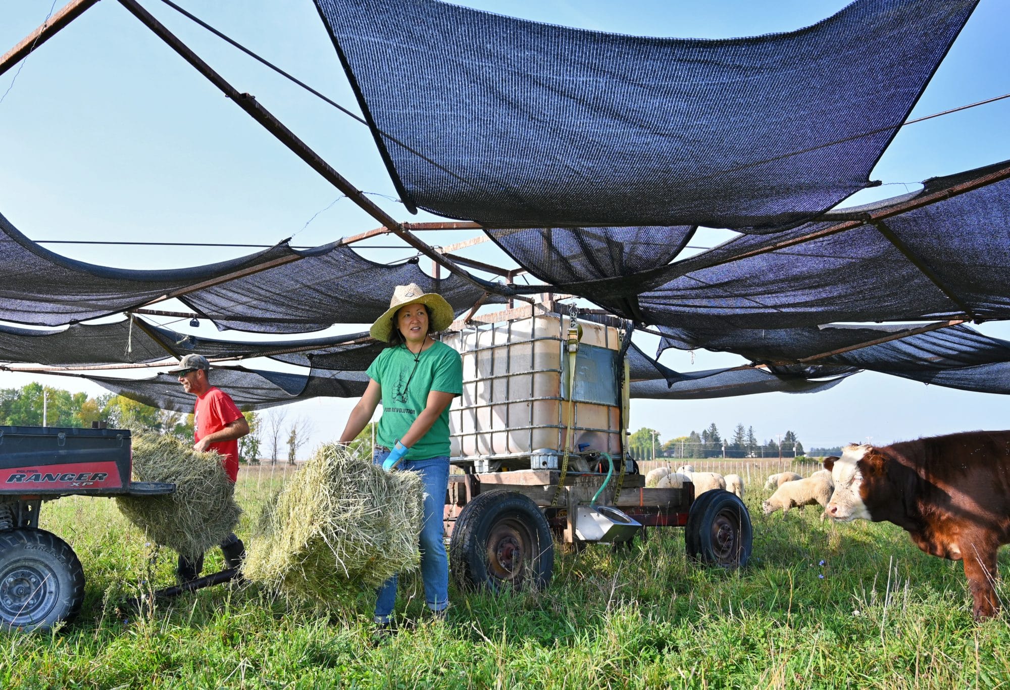 Beginning farmers can gain experience through Labor4Learning program ...