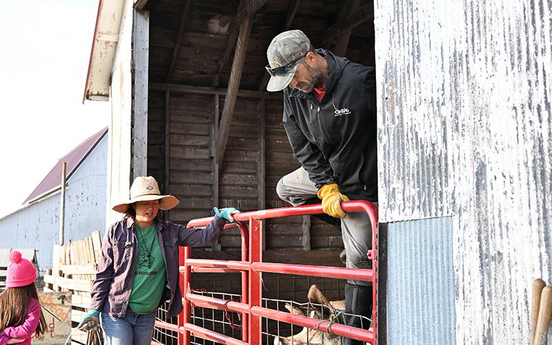 Livestock & Grazing Programs & Resources – Practical Farmers of Iowa