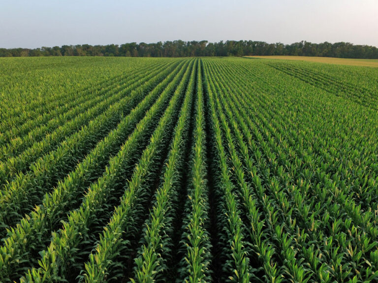 Field Crops Programs & Resources – Practical Farmers of Iowa